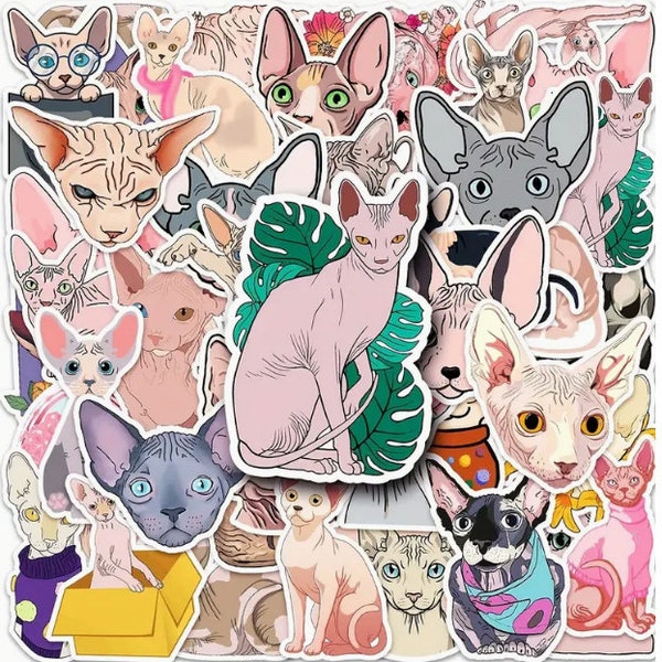 Sphynx Cat - Etsy