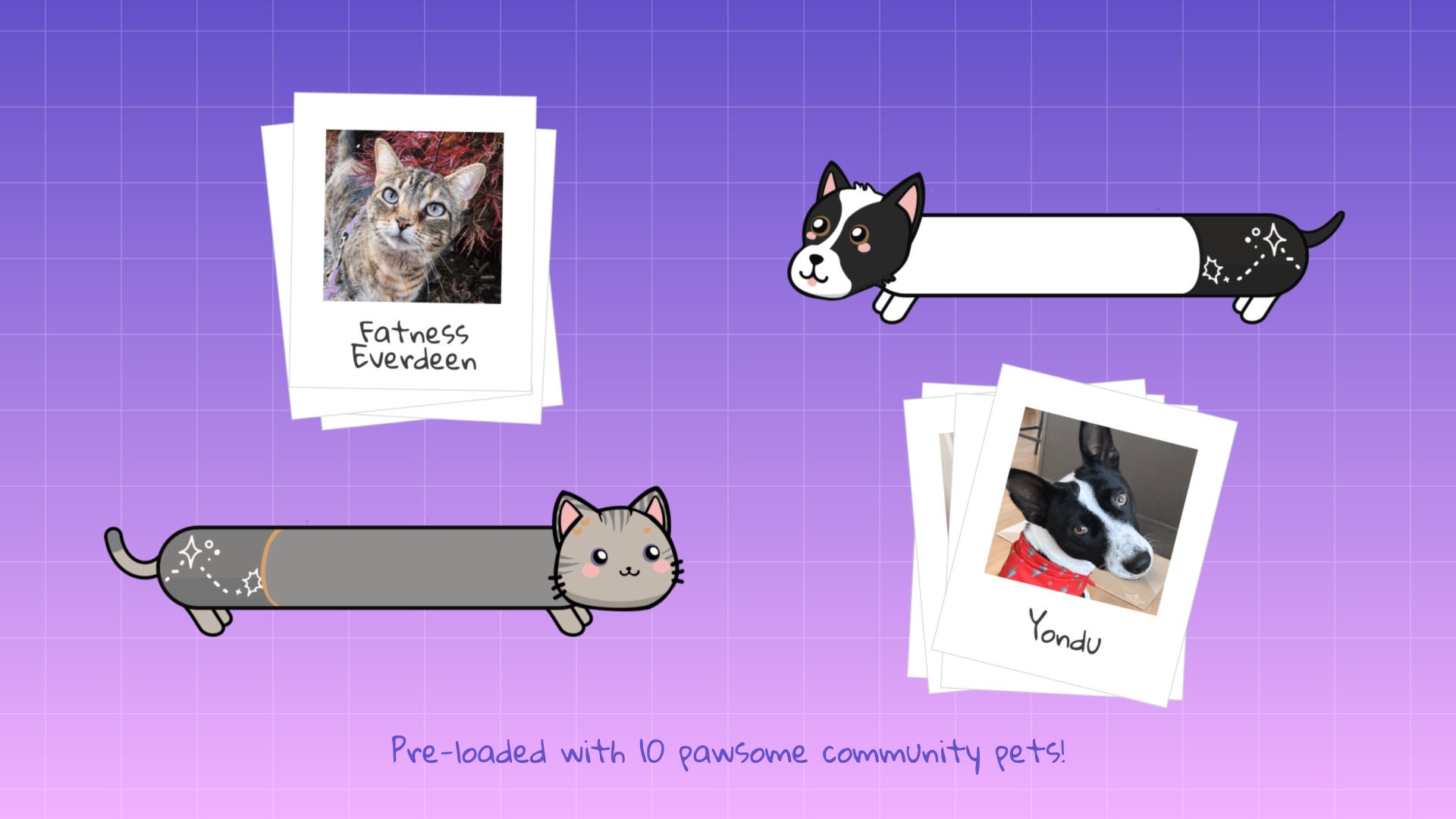 Twitch Goal Widget Cat Goal Widget Twitch Cat Goal Twitch Overlay With ...