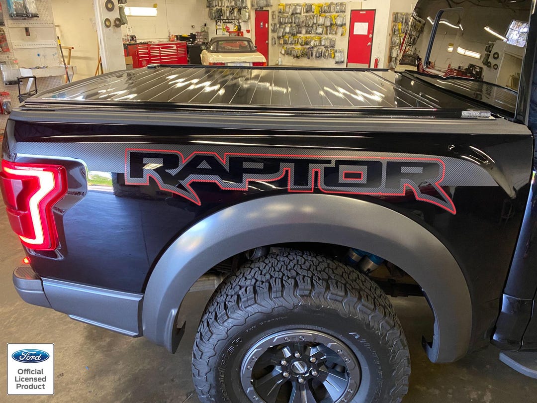 2017-2020 Ford F-150 Raptor Factory Style Bed Graphics With Outlines ...