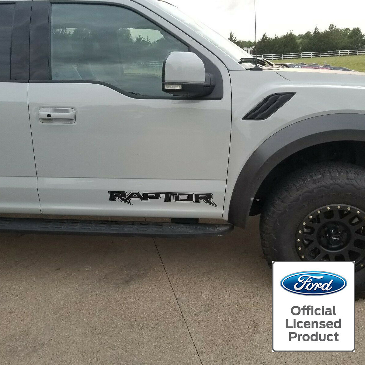 2017-2020 Ford Raptor Side Decals - Etsy