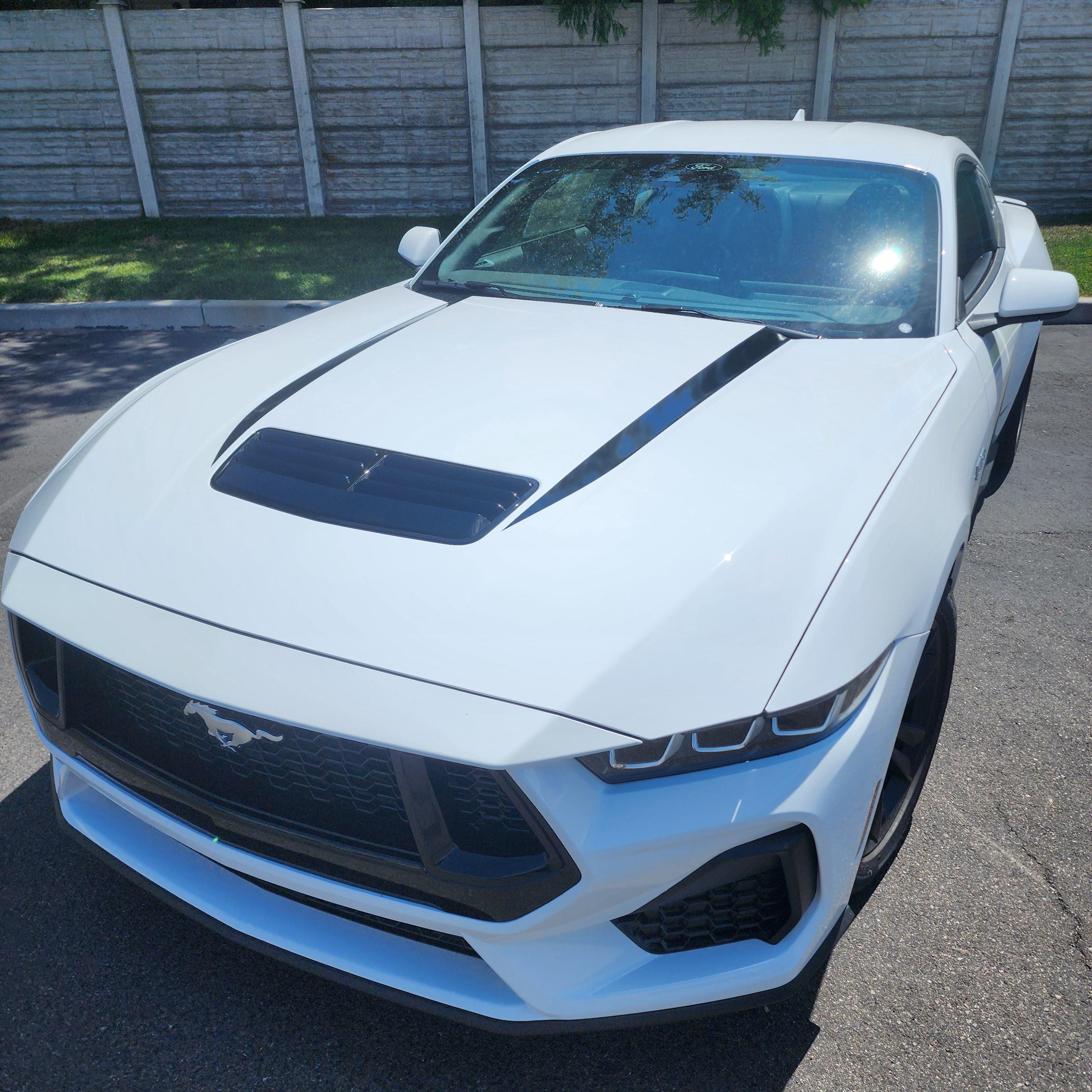 Fits 2024-2025 Ford Mustang GT Hood Spears Vinyl Decal Stickers - Etsy