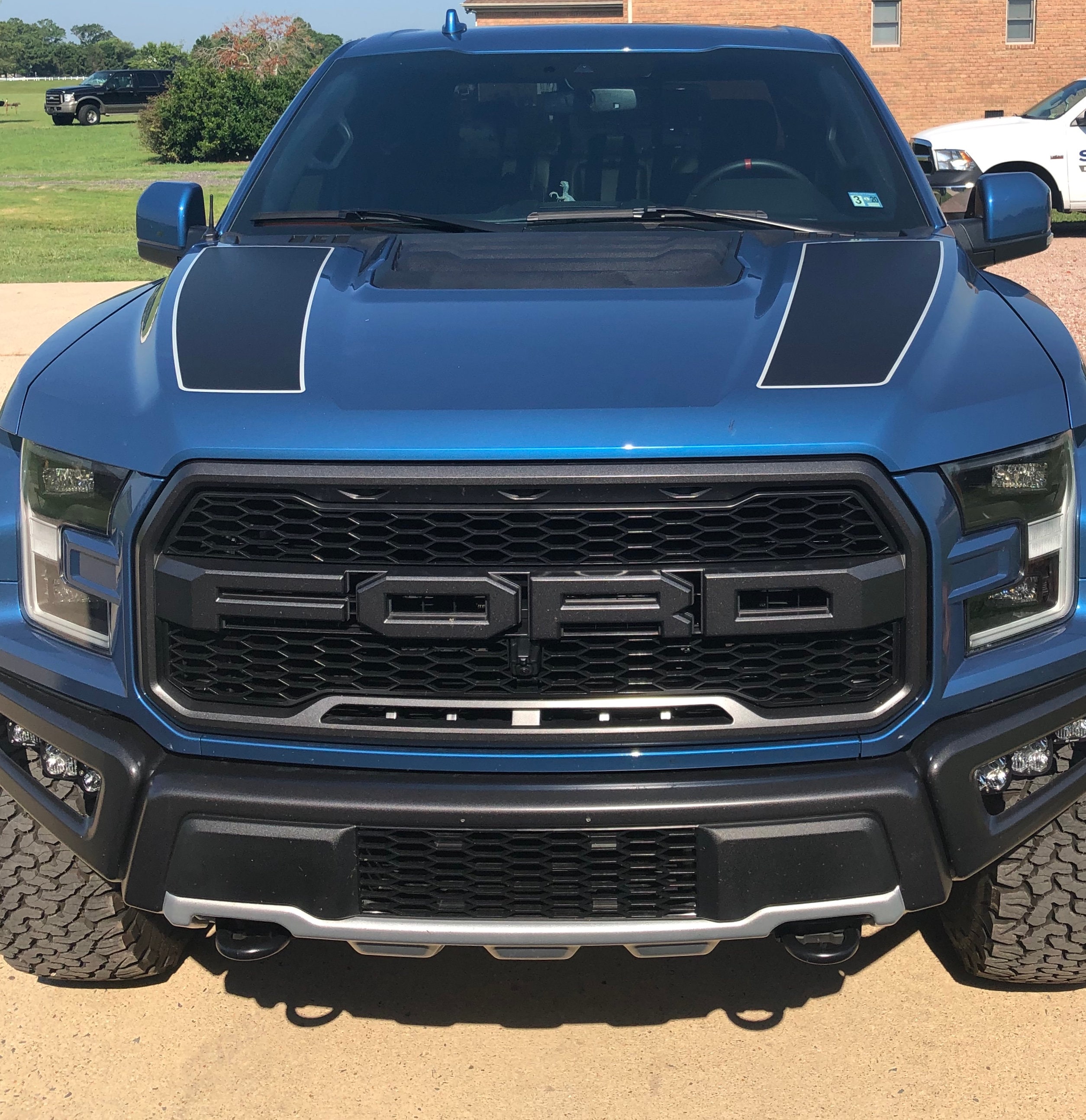 2015-2020 Ford F150 Dual Hood Stripe With Outlines - Etsy