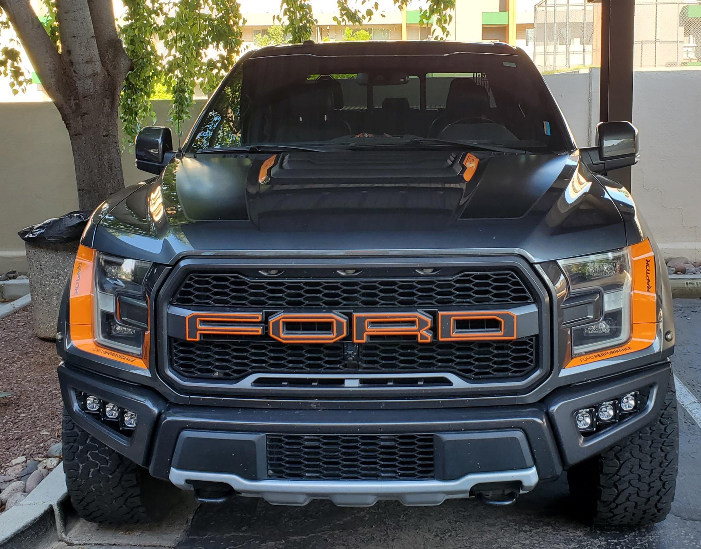 2017-2020 Ford Raptor Grille Letter Outlines - Etsy Australia