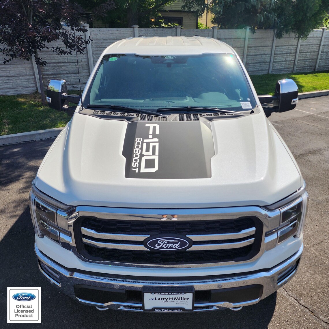 Fits 2021-2025 Ford F150 Ecoboost Center Hood V4 High Quality Decal ...