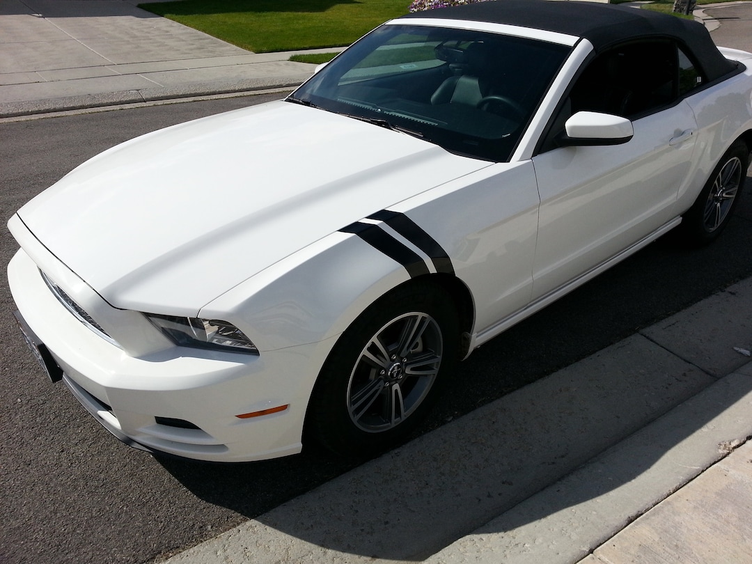 Ford Mustang Fender Hash Stripes Dual 3" - Etsy