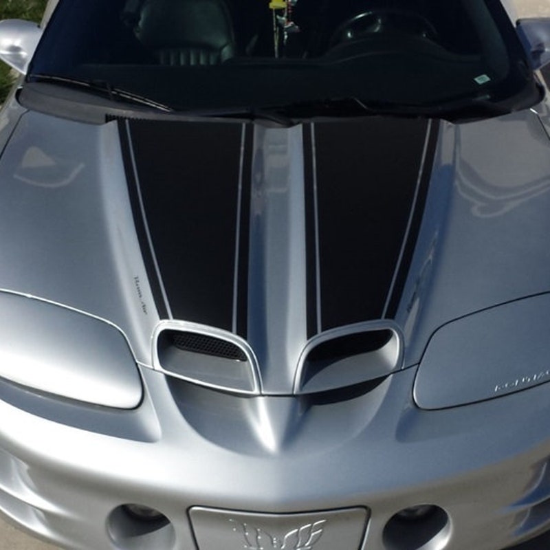 Trans Am Decal - Etsy