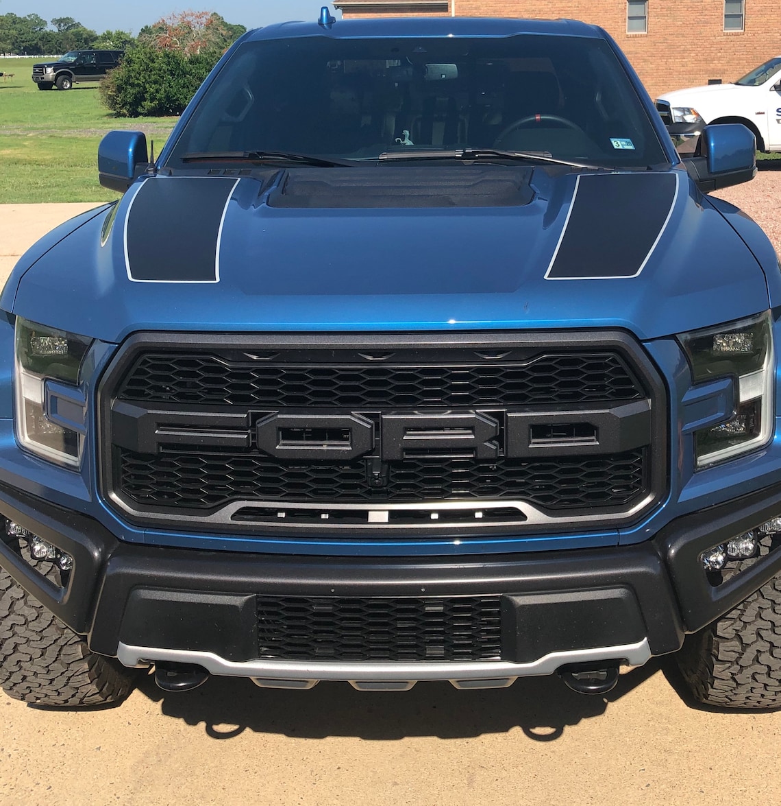 2017-2020 Ford Raptor Dual Hood Stripes W/ Pinstripes Vinyl Graphics ...