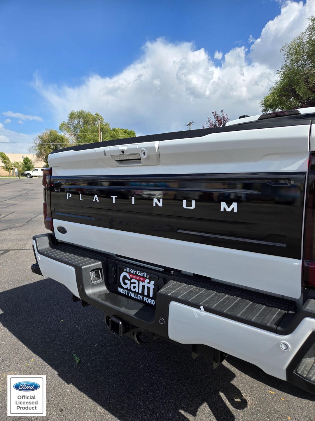 2023-2025 Ford Super Duty Platinum Tailgate Letters Vinyl Inserts ...