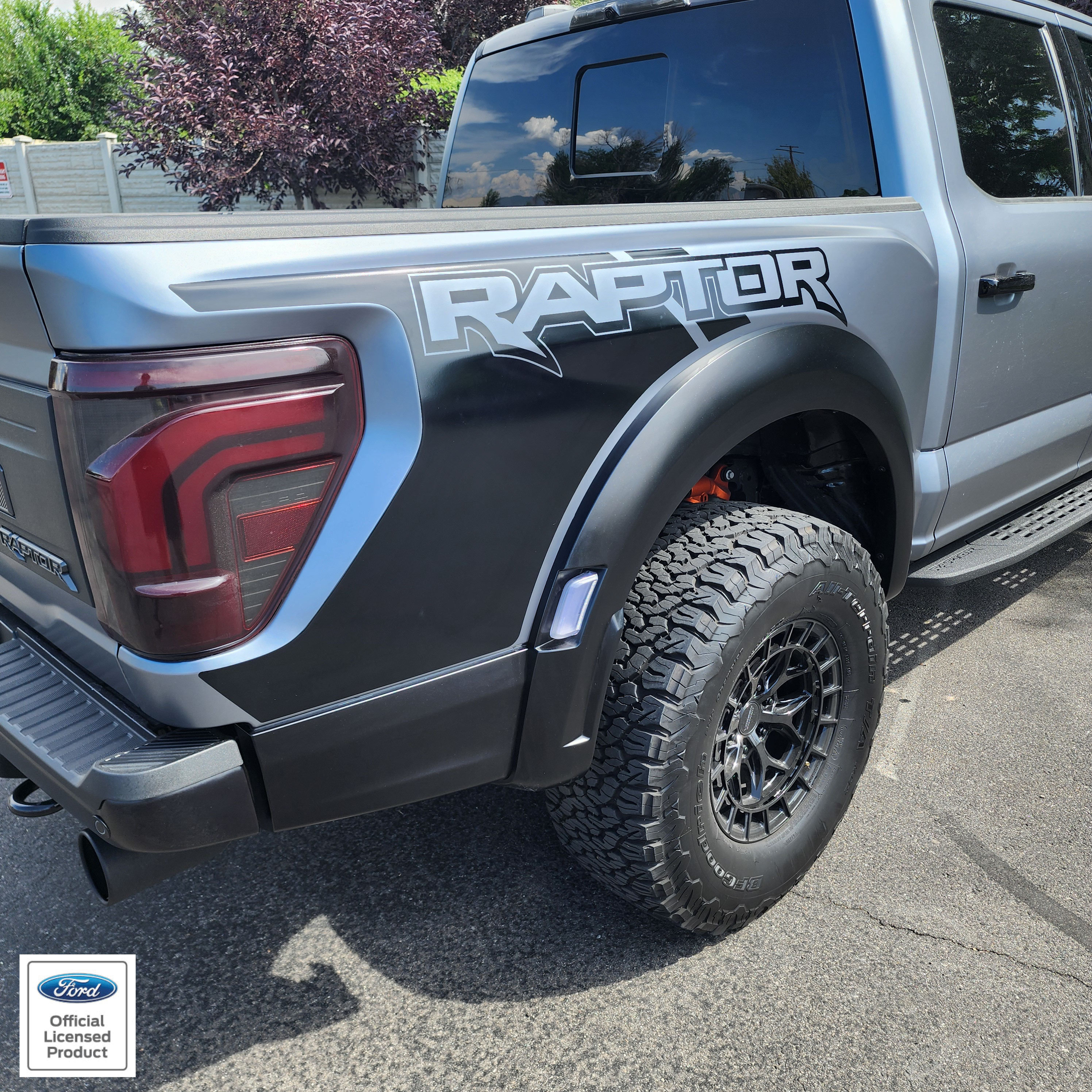 Dibujo De Vado Raptor