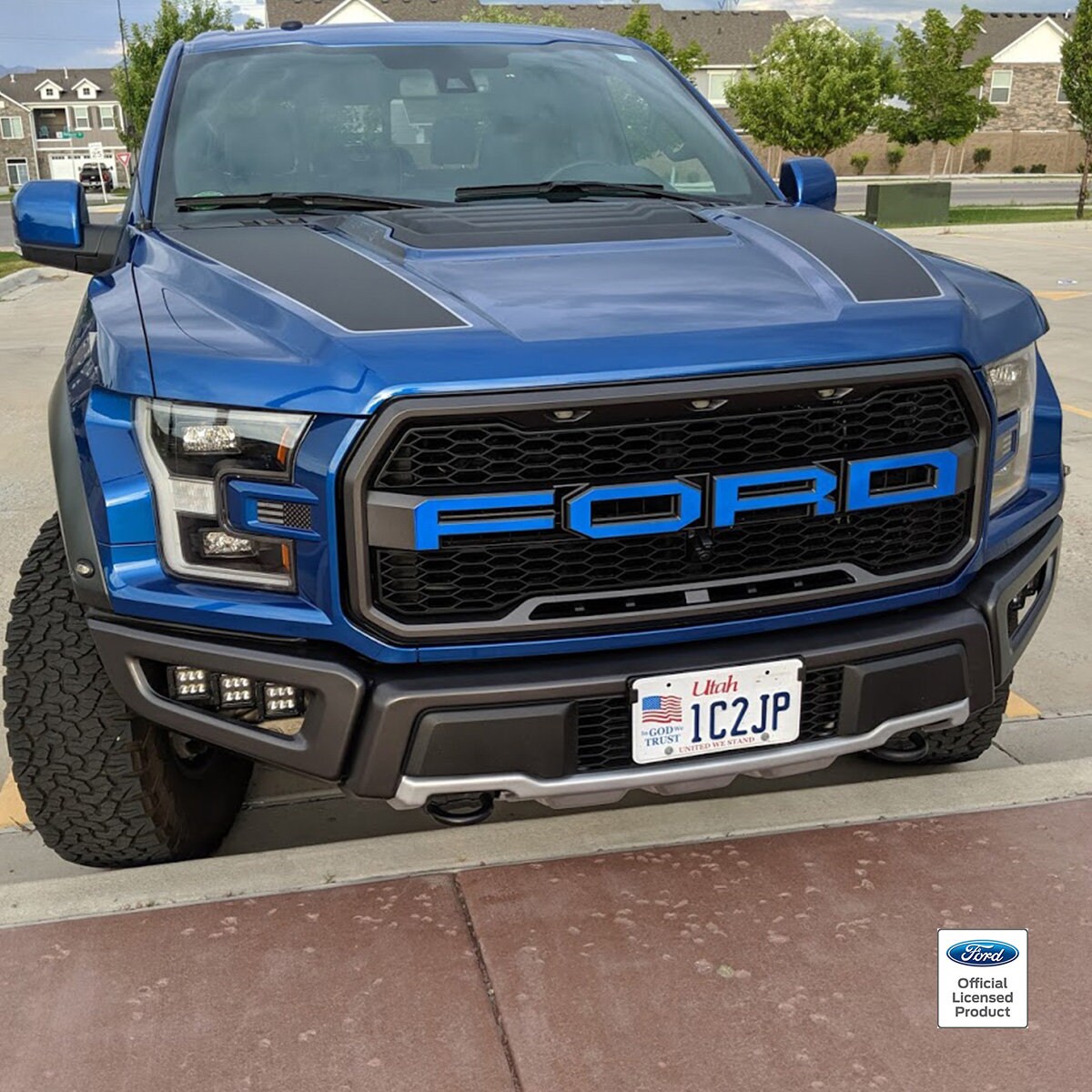 2017-2020 Ford Raptor Colored Chrome Grille Letter Decals - Etsy