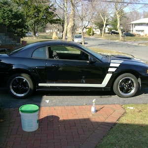 Fits 1999-2004 Ford Mustang Boss Style Side Stripes - Etsy