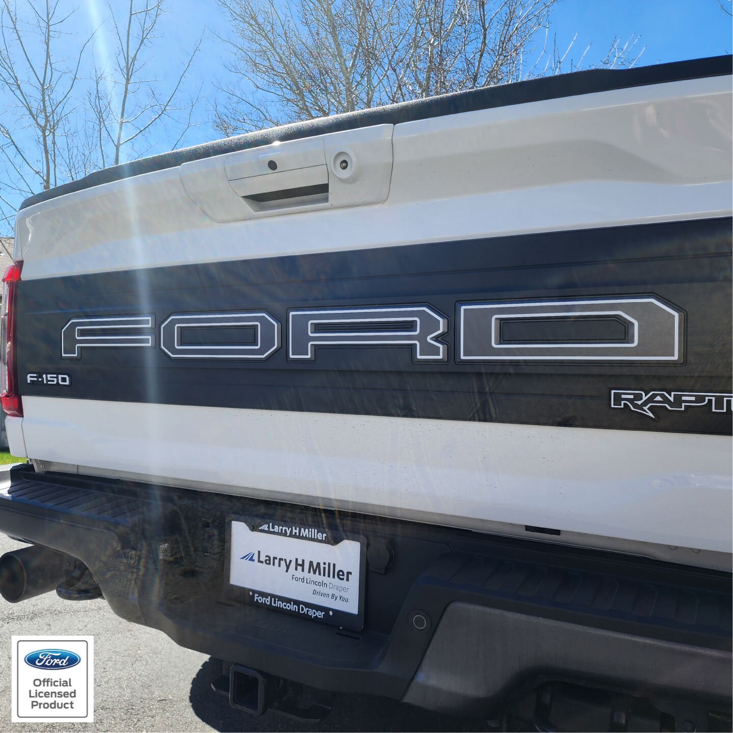 2021-2023 Ford Raptor Tailgate Letter Outlines Vinyl Decal - Etsy