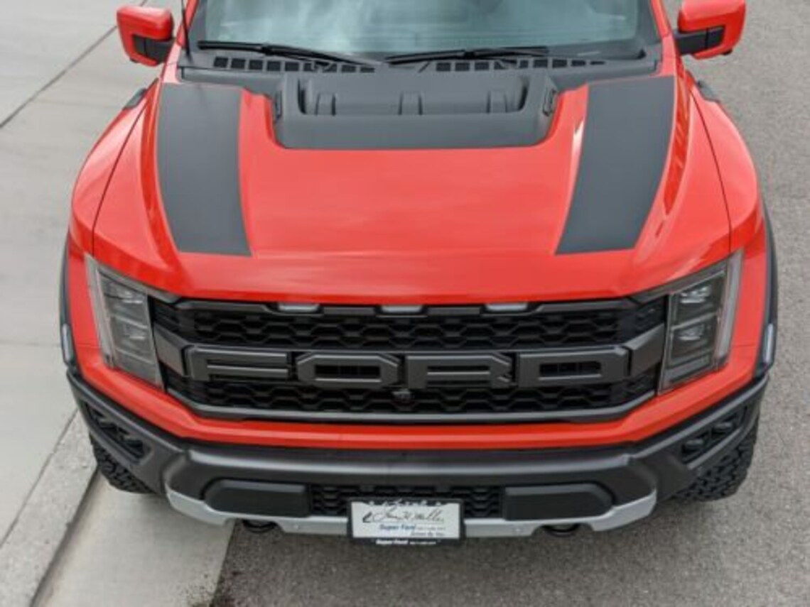 2021-2023 Ford Raptor Dual Hood Graphics Vinyl Stripes Decals - Etsy UK