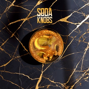 GOLD EDITION Charizard: Custom Poke Shift Knob. Charizard Shift Knob ...