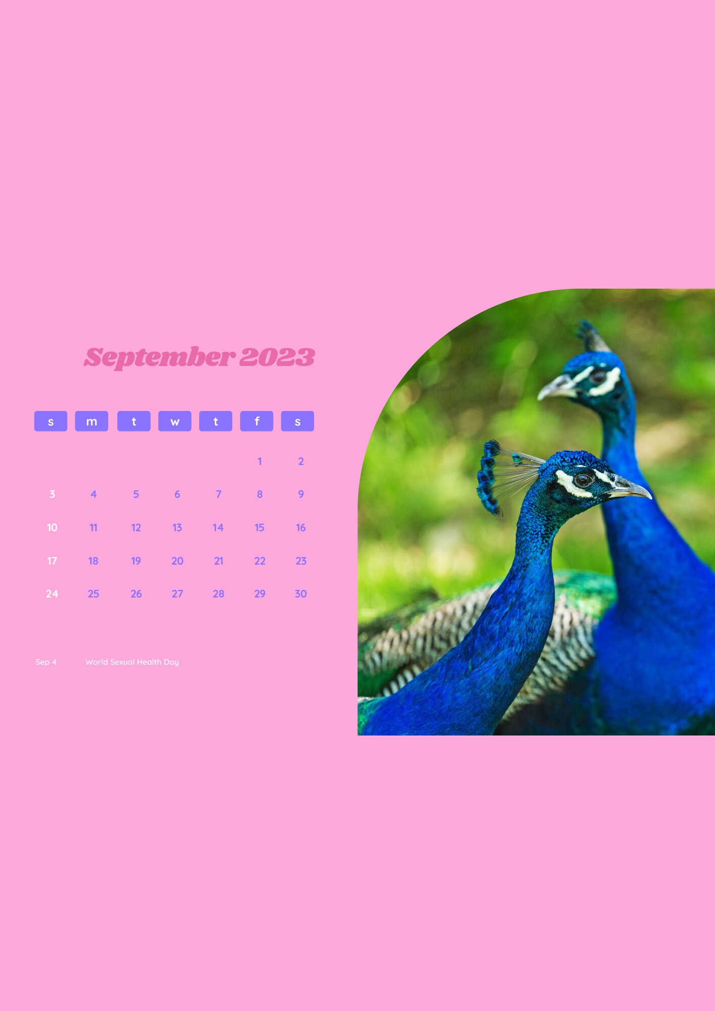 Pretty Modern Year at A Glance 2023 Yearly Calendar Printable Paper ...