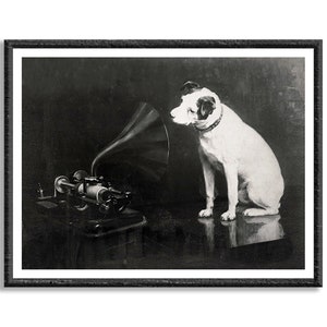 Vintage Photo Dog Poster, the Original Dog 1898 Poster Print, Dog ...