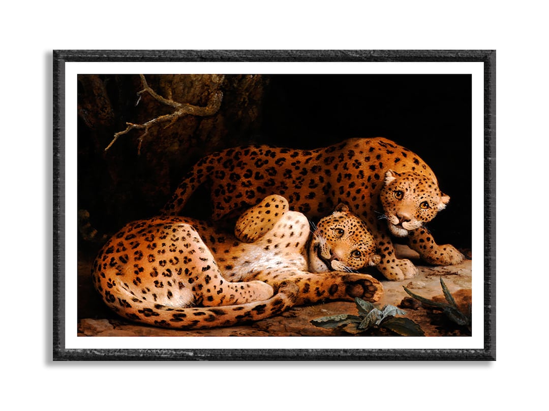 Antique Leopard Painting, Two Leopards by George Stubbs Canvas Art ...