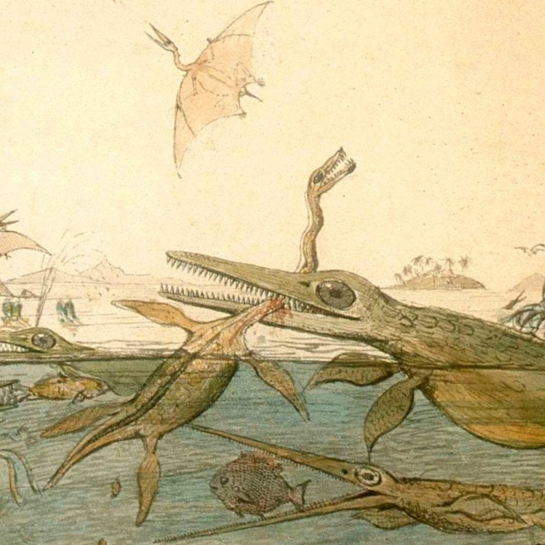 Duria Antiquior by Henry De La Beche Canvas Art Print, Dinosaur ...