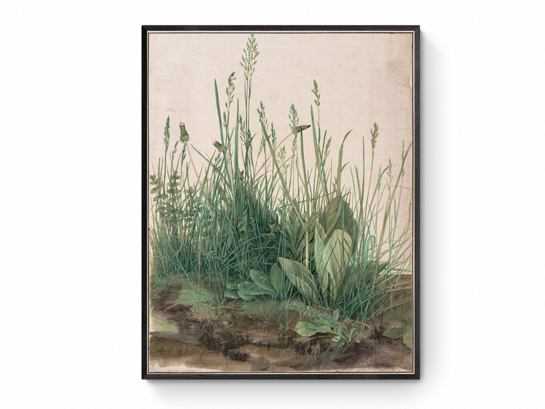 The Large Piece of Turf by Albrecht Dürer Canvas Fine Art Print Wall ...