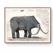 Restoration of the Adams Mammoth Antique Vintage Illustration Poster ...