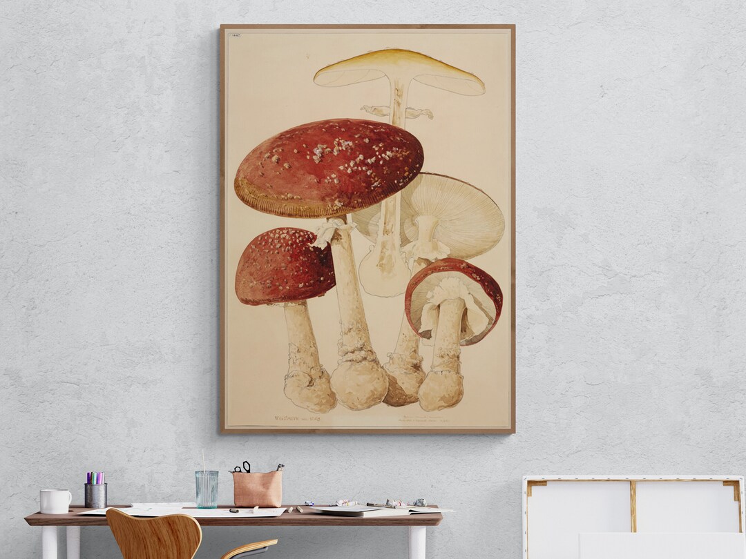 Antique Mushroom Wall Art, Mushroom Wall Decor, Mushroom Prints, Fungi ...