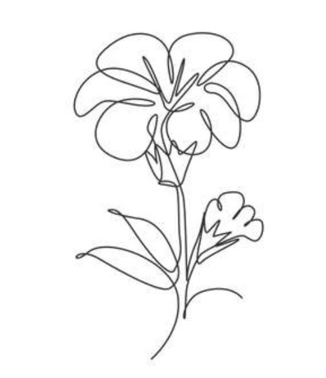 One Single Line Drawing Beauty Hibiscus Flower Illustration. Minimal ...