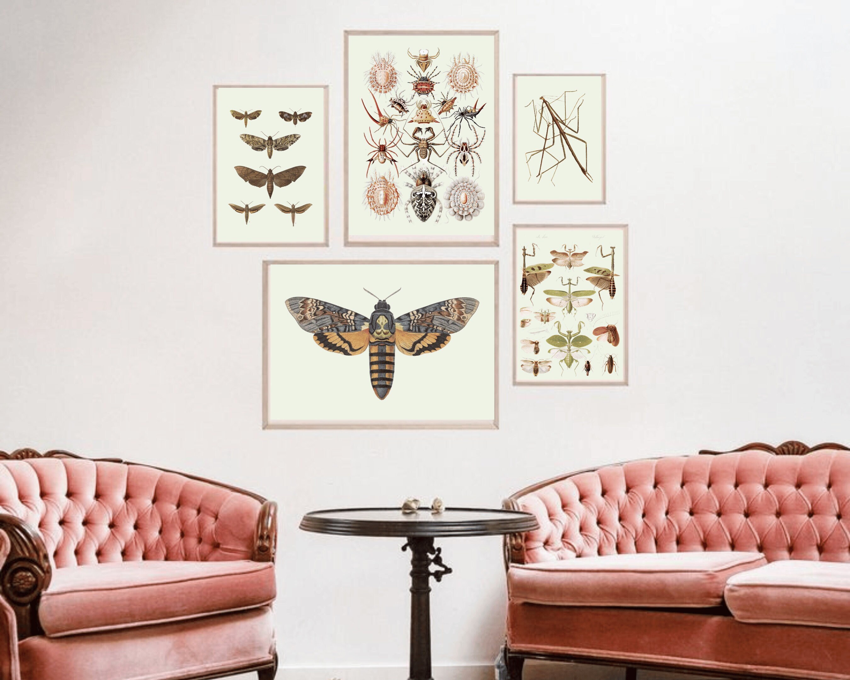 Death Head Moth Posters death Head Moth Silence of the Lambs Art ...