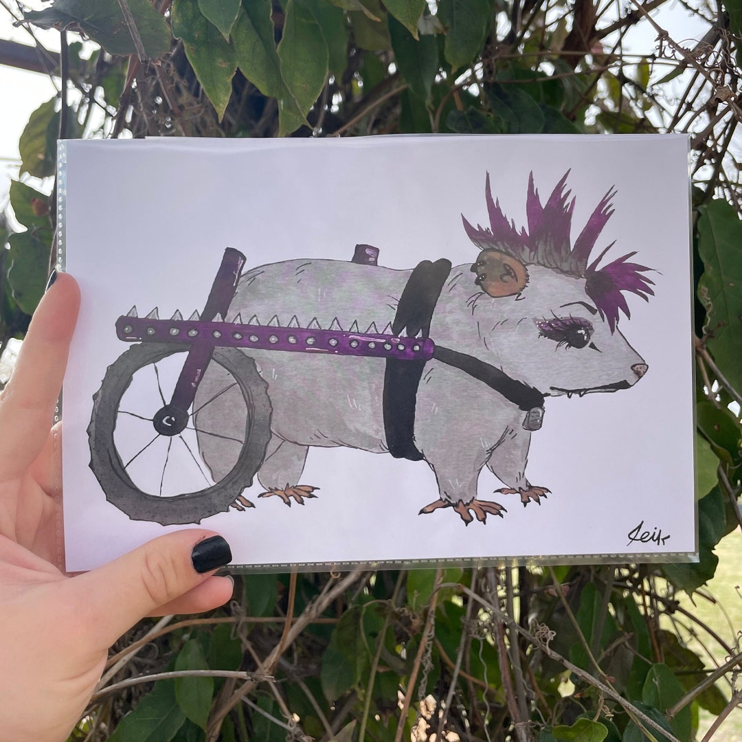 Goth Disabled Possum With Wheelchair Watercolor Style Print - Etsy