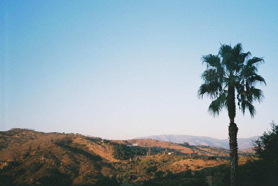 Southern California, Film Photography, Digital Download - Etsy
