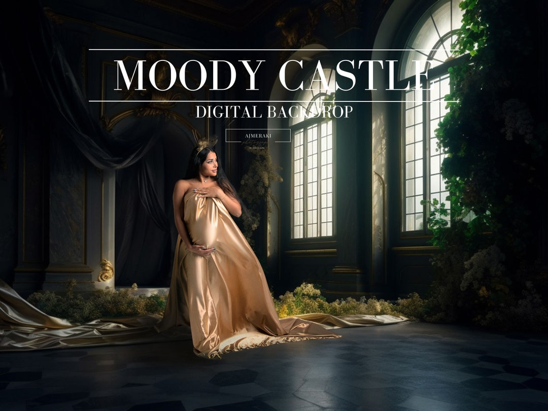 Moody Castle Maternity Backdrop, Maternity Overlay for Photoshop ...