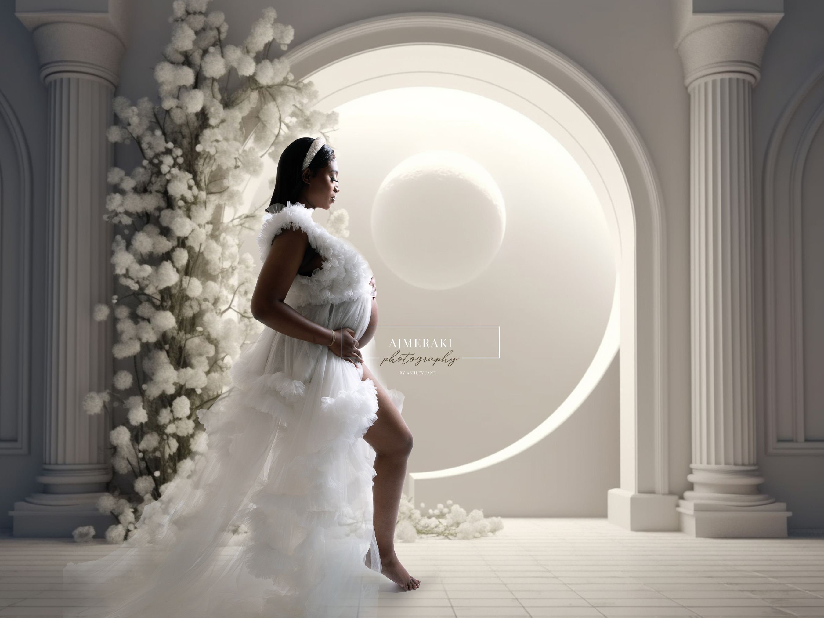 MOON ARCH Maternity Backdrops Maternity Overlay for - Etsy