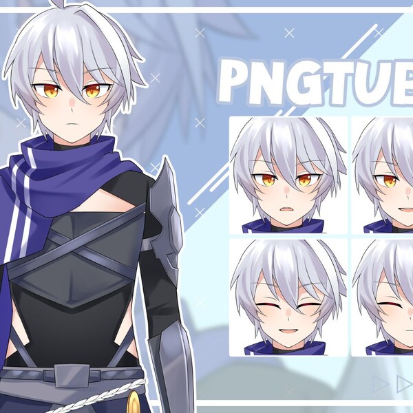 Pngtuber Model - Etsy