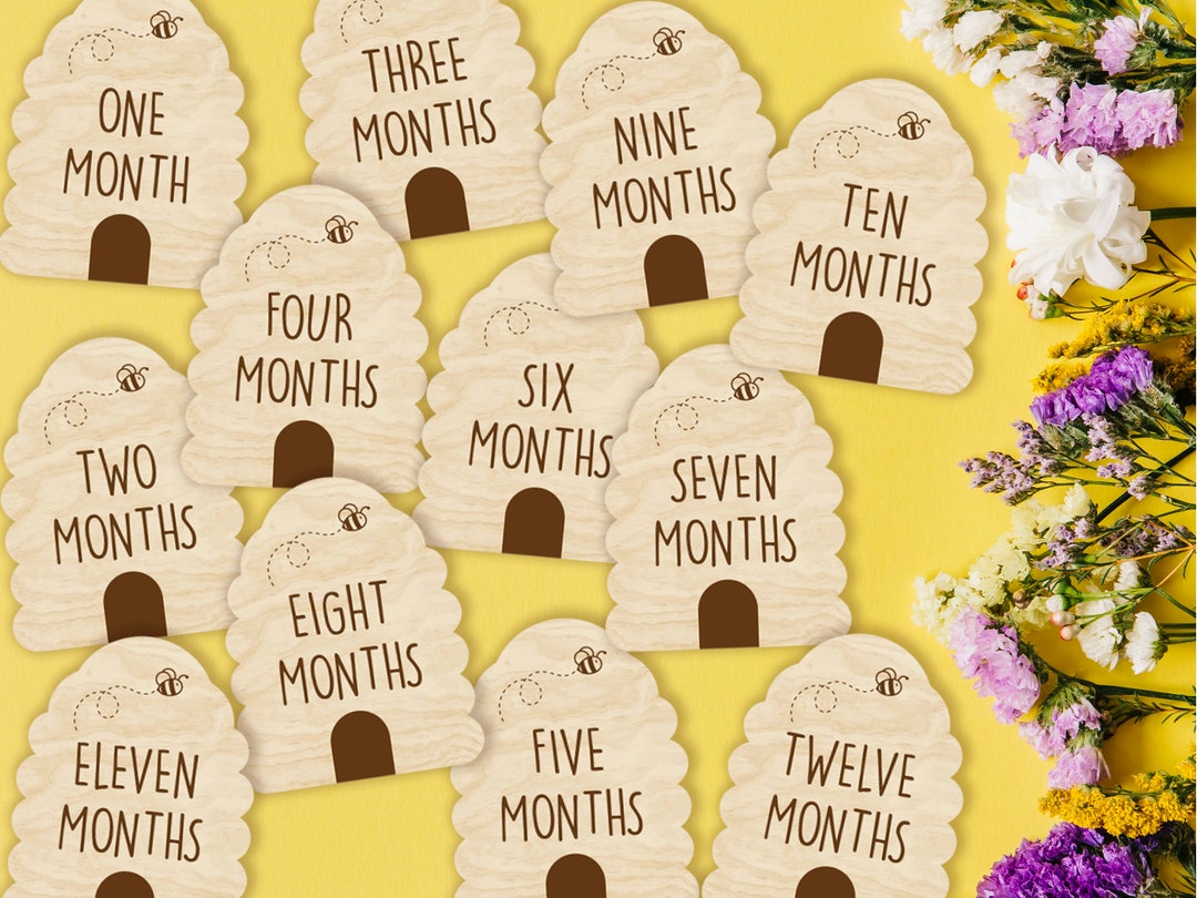 Bay-bee Beehive Wooden Baby Monthly Milestone Markers & Discs for ...