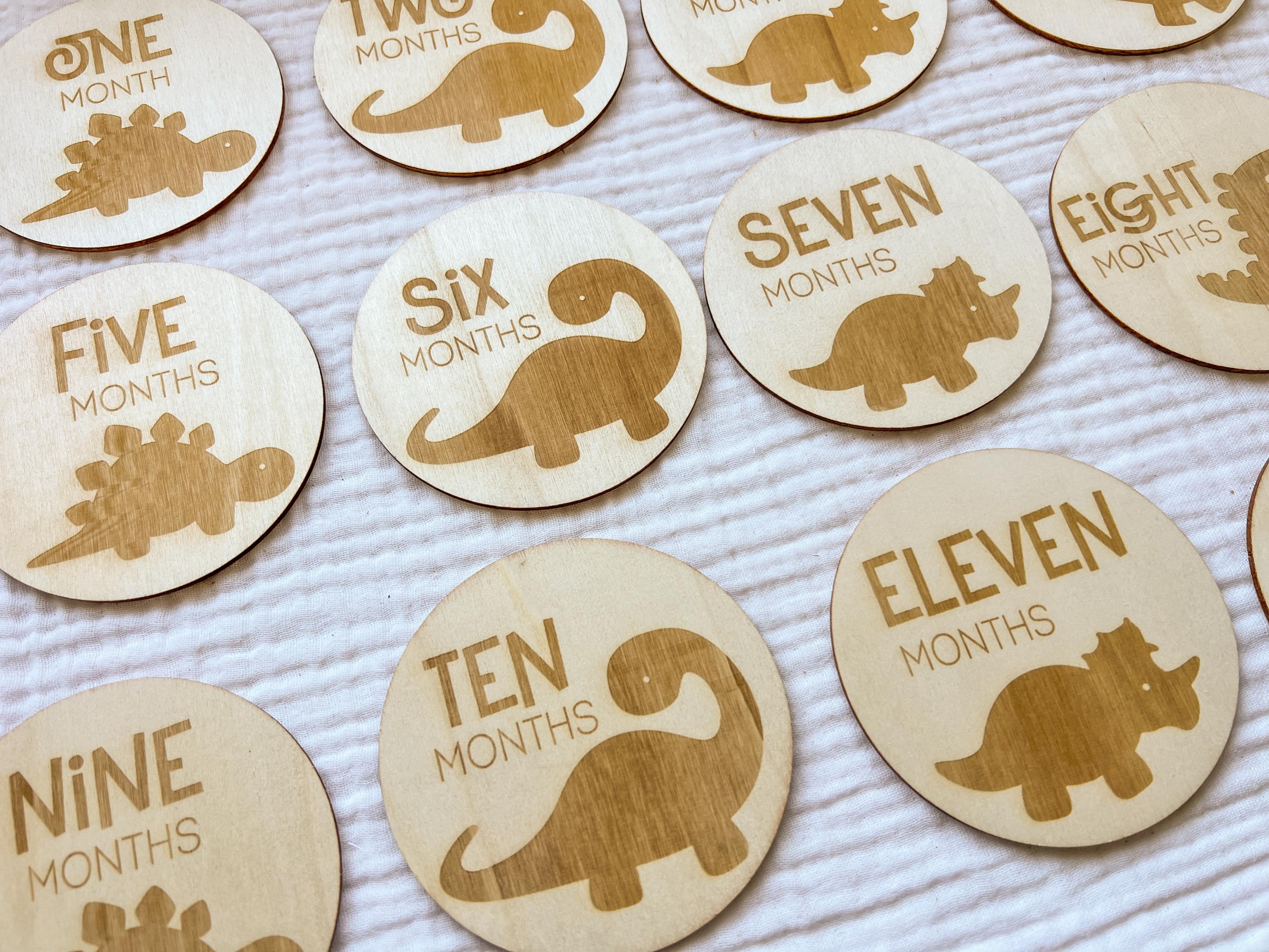 Dinosaur Wooden Baby Monthly Milestone Markers & Discs for Newborn ...