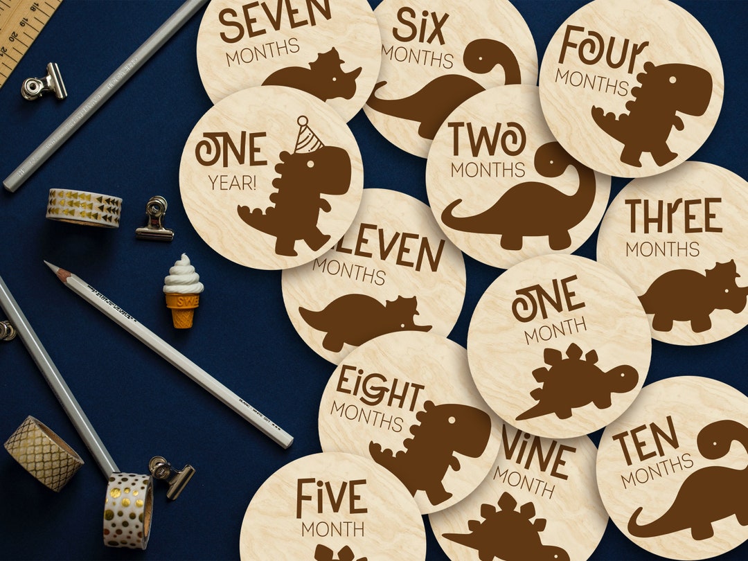 Dinosaur Wooden Baby Monthly Milestone Markers & Discs for Newborn ...