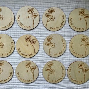 Poppy Wooden Baby Monthly Milestone Markers and Discs for Newborn ...