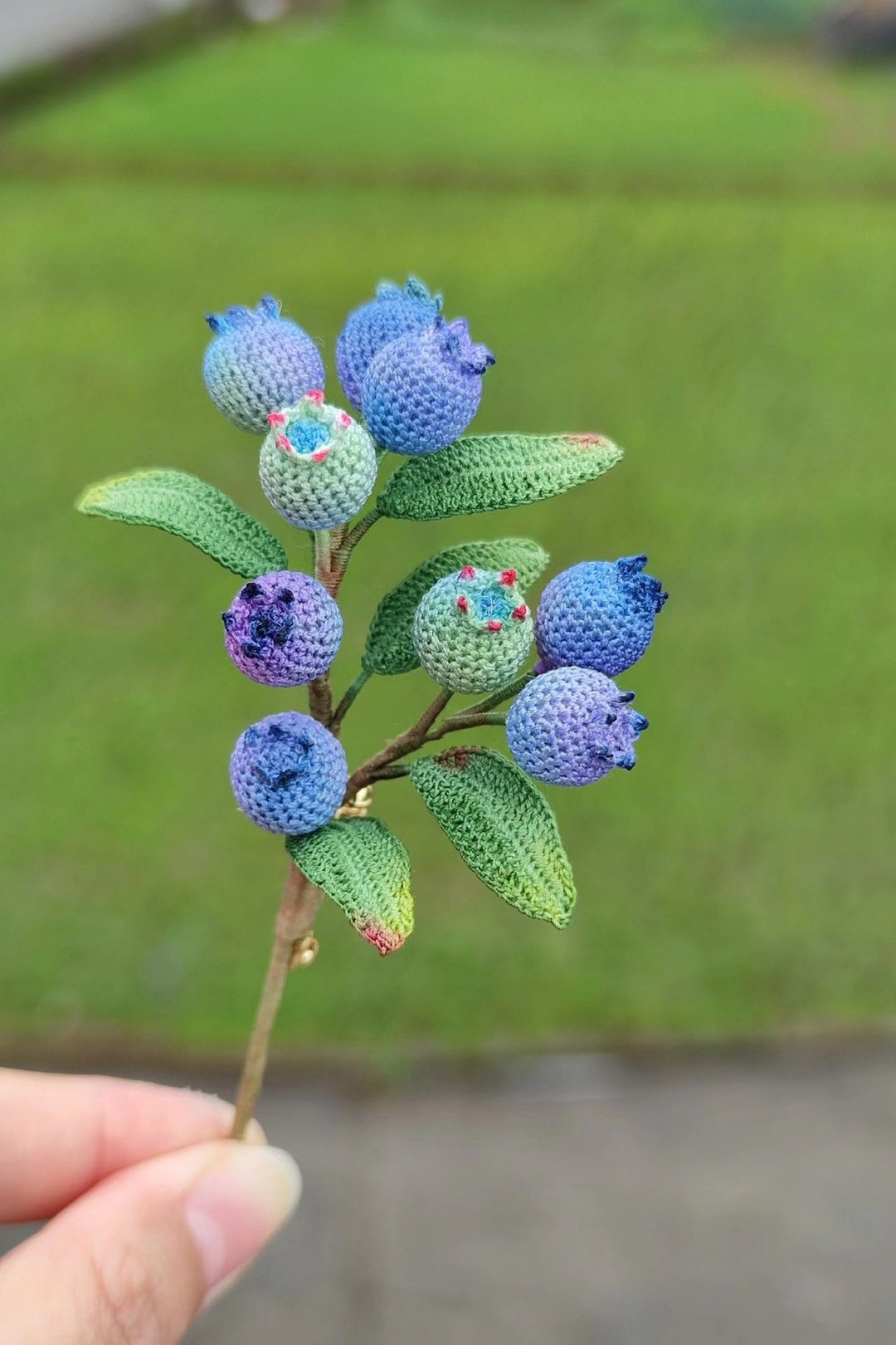 Finished Crochet Blueberry Crochet Flower Knitting Blueberry With ...