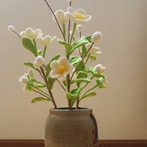 Finished Crochet Begonia Miss-grass With Leaves Crochet Malus ...