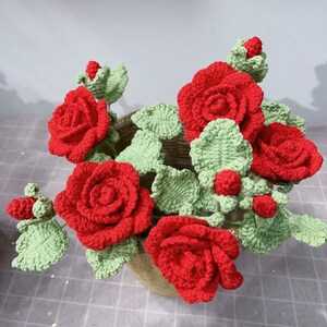Finished Crochet Rosebush Bouquet Crochet Wild Rose Flower Knitting ...