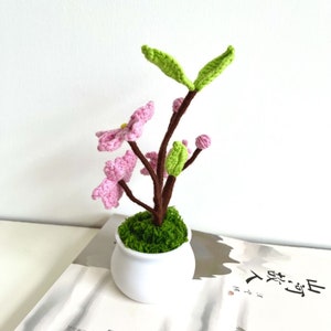 Finished Sakura Crochet Potted Cherry Blossom Knitting Cherry Flower ...
