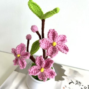 Finished Sakura Crochet Potted Cherry Blossom Knitting Cherry Flower ...