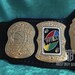 NEW UNO Zinc Championship Replica Title, UNO Wild World Wrestling Belt ...