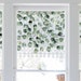 Eucalyptus Plant Window Decal Leaves Border Plant Window - Etsy