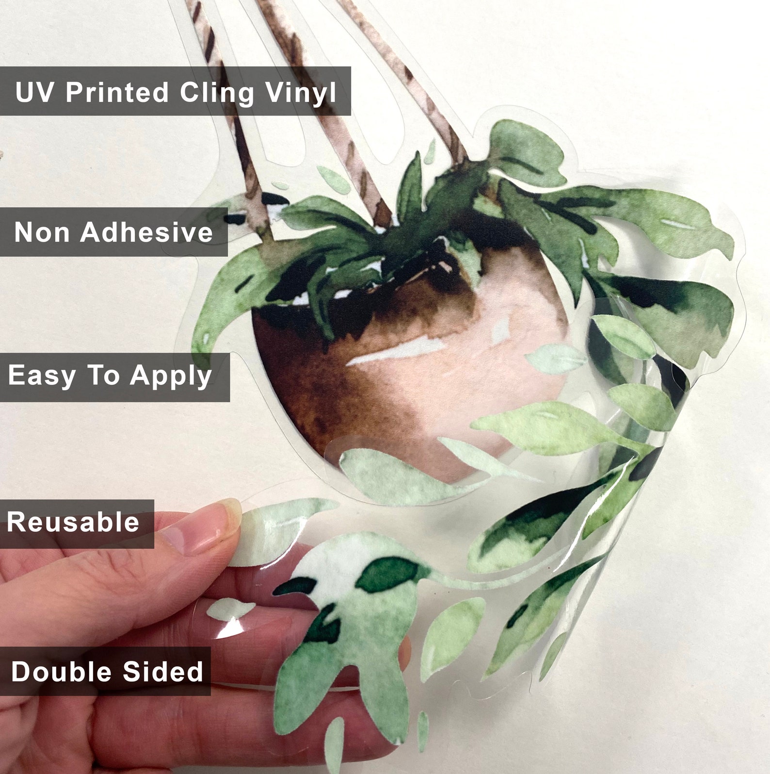 Dizzy Duck 5 X Plant Window Decals | Reusable Window Cling | Water ...