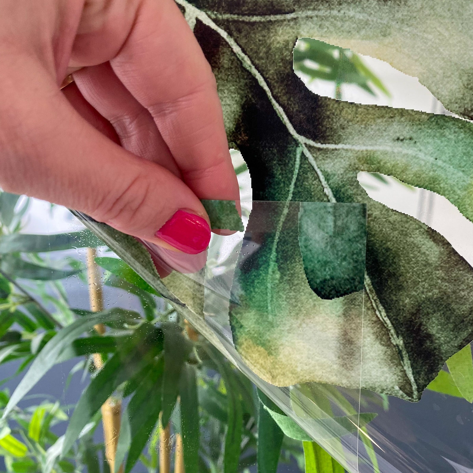 Dizzy Duck Tropical Window Film Monstera Leaves Frosted - Etsy