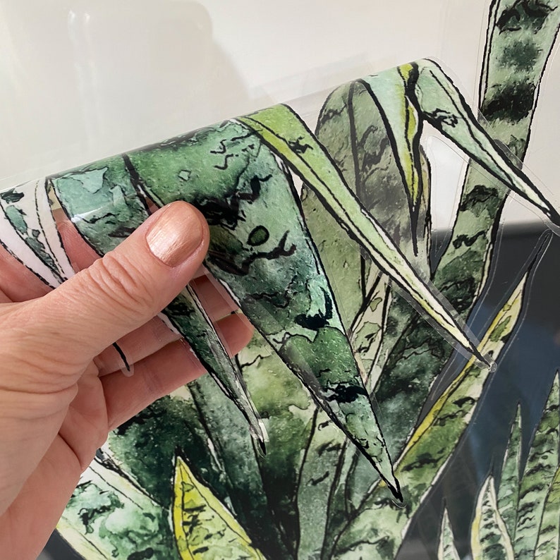 5x Boho Plant Window Sticker Decals - Reusable Dizzy Duck Watercolour ...