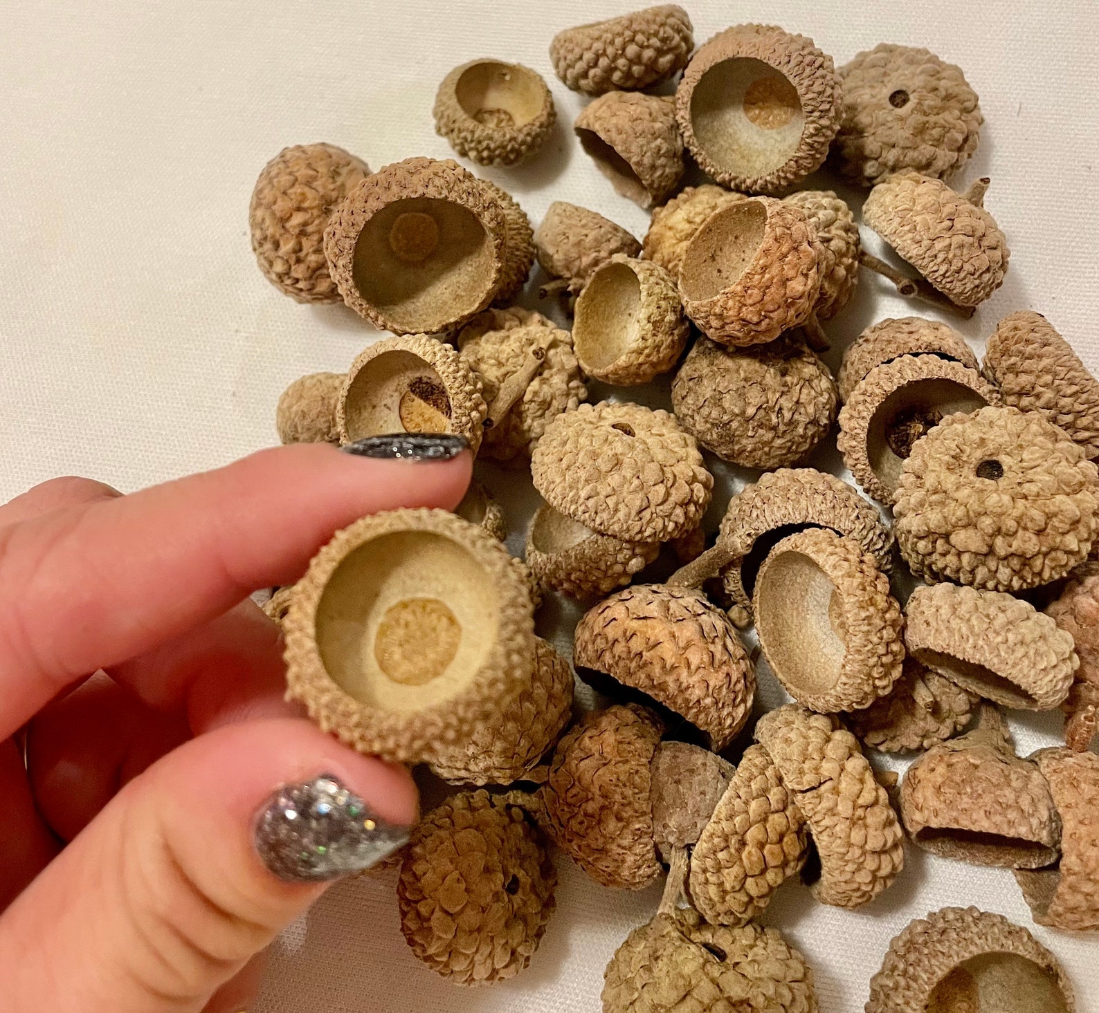 Acorn Caps Set of 50/acorn Caps for Crafts/acorn Caps for - Etsy