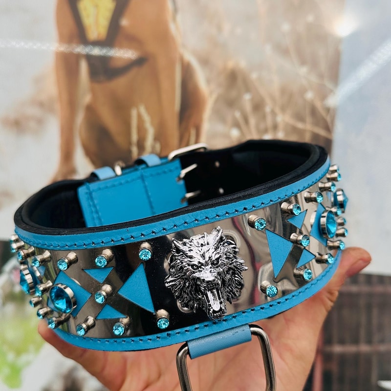 Cane Corso Collar - Etsy