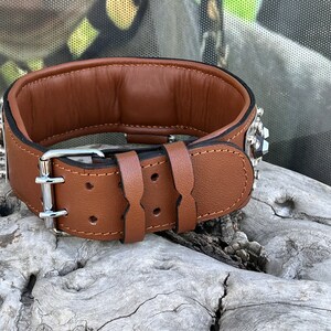 Extreme Collars Handmade Dog Collars Personalized Collars Dog Gift ...