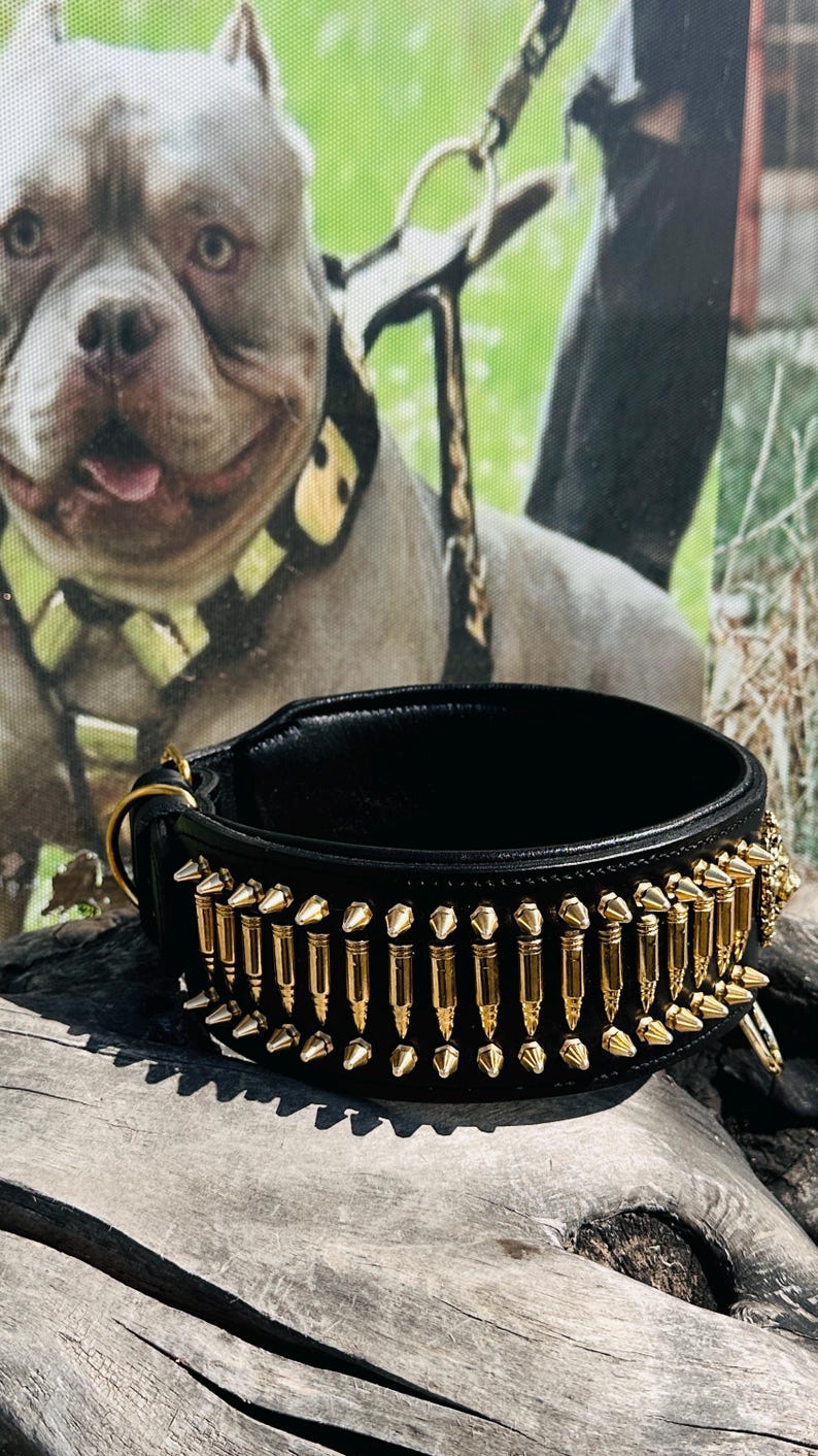 Handmade Wide Leather Dog Collar, Bullet Studs, Lion Emblem - Etsy UK
